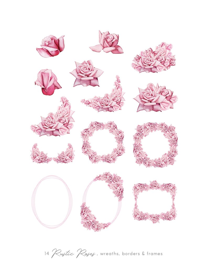 Rustic Roses Clipart, Pink Wedding Flowers, Vintage Illustration - Etsy