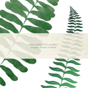 Watercolor Fern Greenery PNG Clip Art, Green Plant Illustration - Etsy