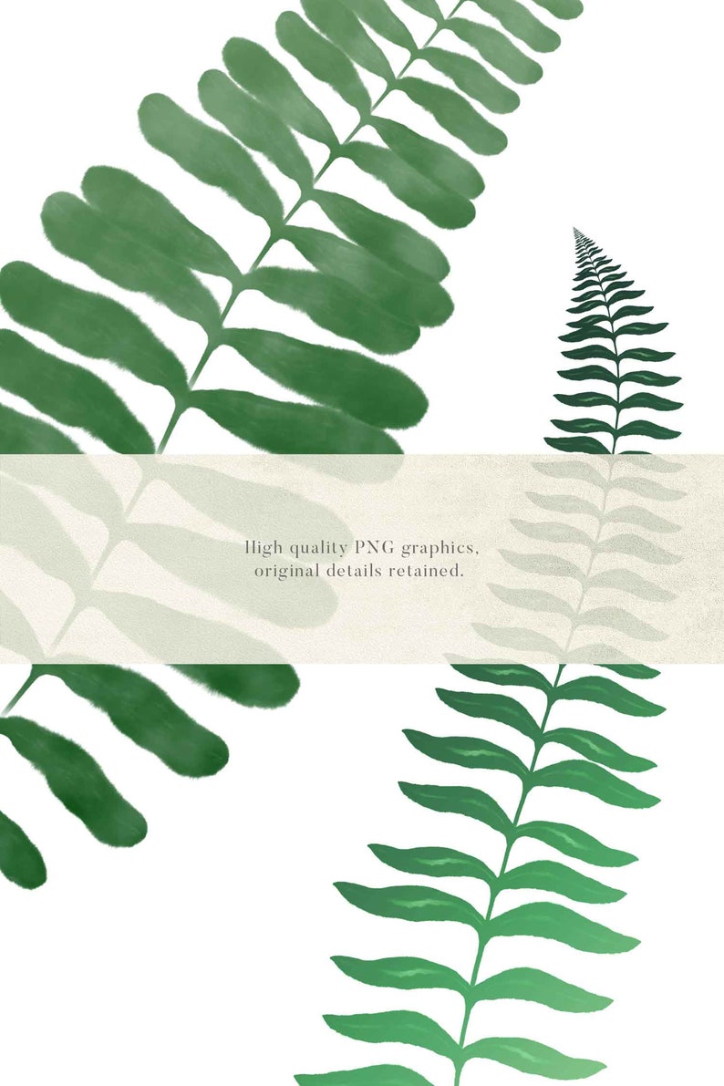 Watercolor Fern Greenery PNG Clip Art, Green Plant Illustration - Etsy