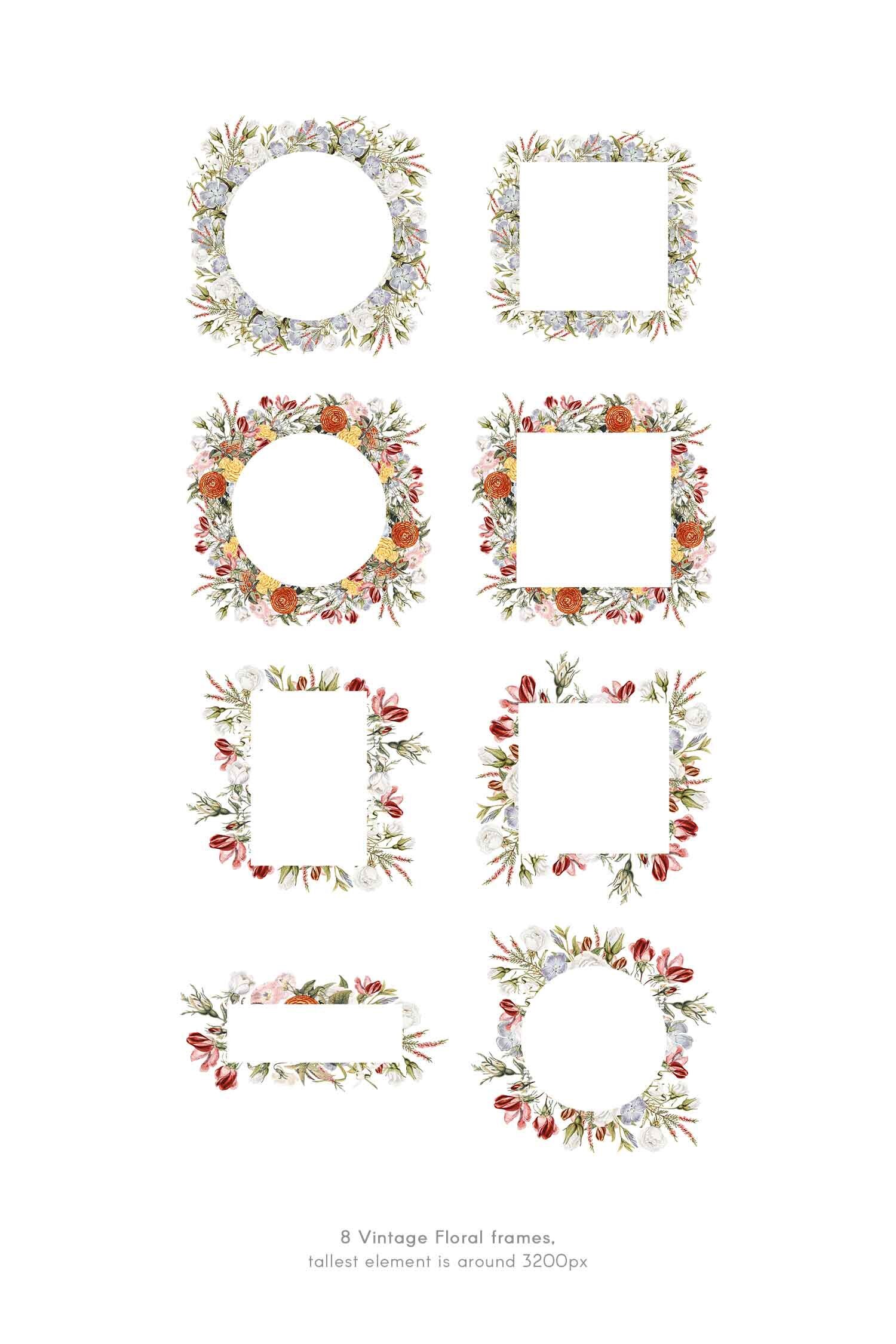 Vintage Flourish Frames Clipart, PNG Frame Graphics, Botanical Frames ...