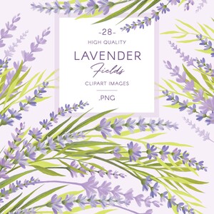 Lilac Lavender Flowers & Wreaths Clip Art, Hand Painted Gouache Florals ...