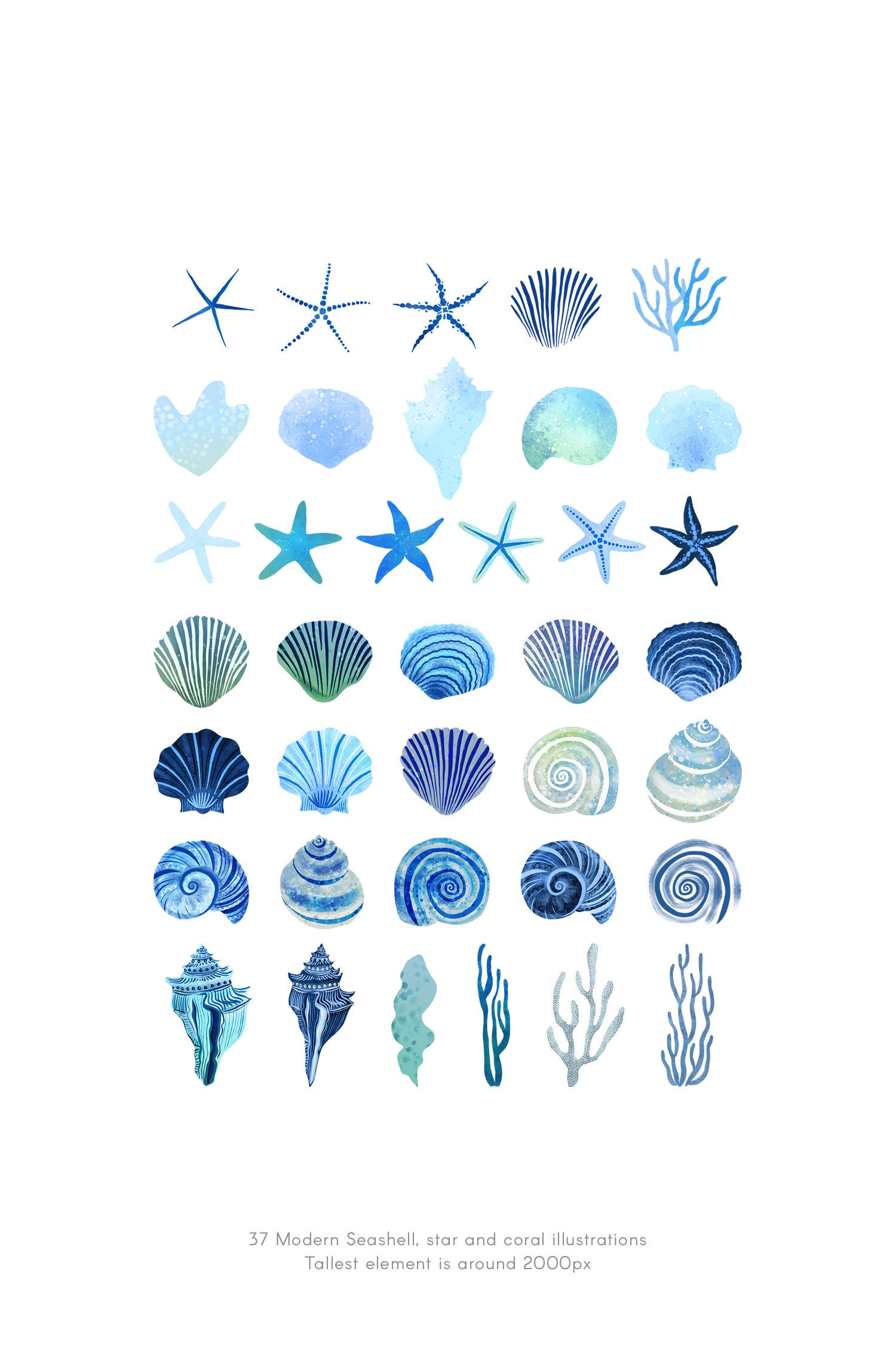 Blue Seashells Clip Art Watercolor Ocean Shells Stars & - Etsy Canada