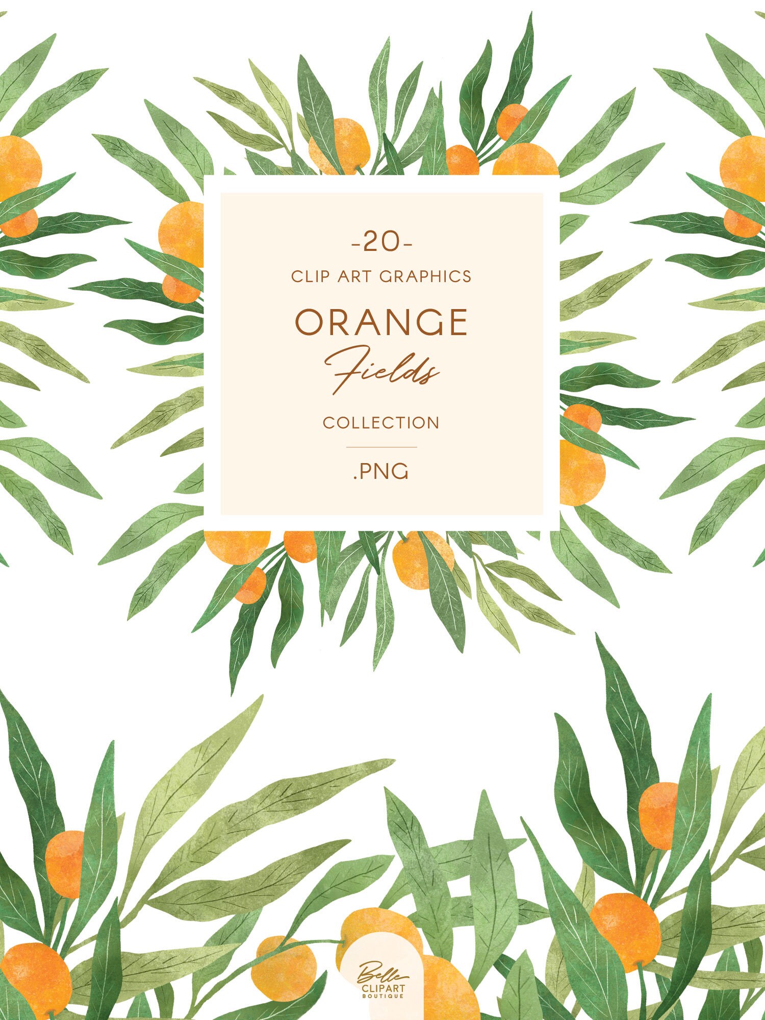 Watercolor Orange fruit & greenery clip art modern fruits | Etsy