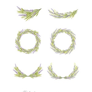 Lilac Lavender Flowers & Wreaths Clip Art, Hand Painted Gouache Florals ...