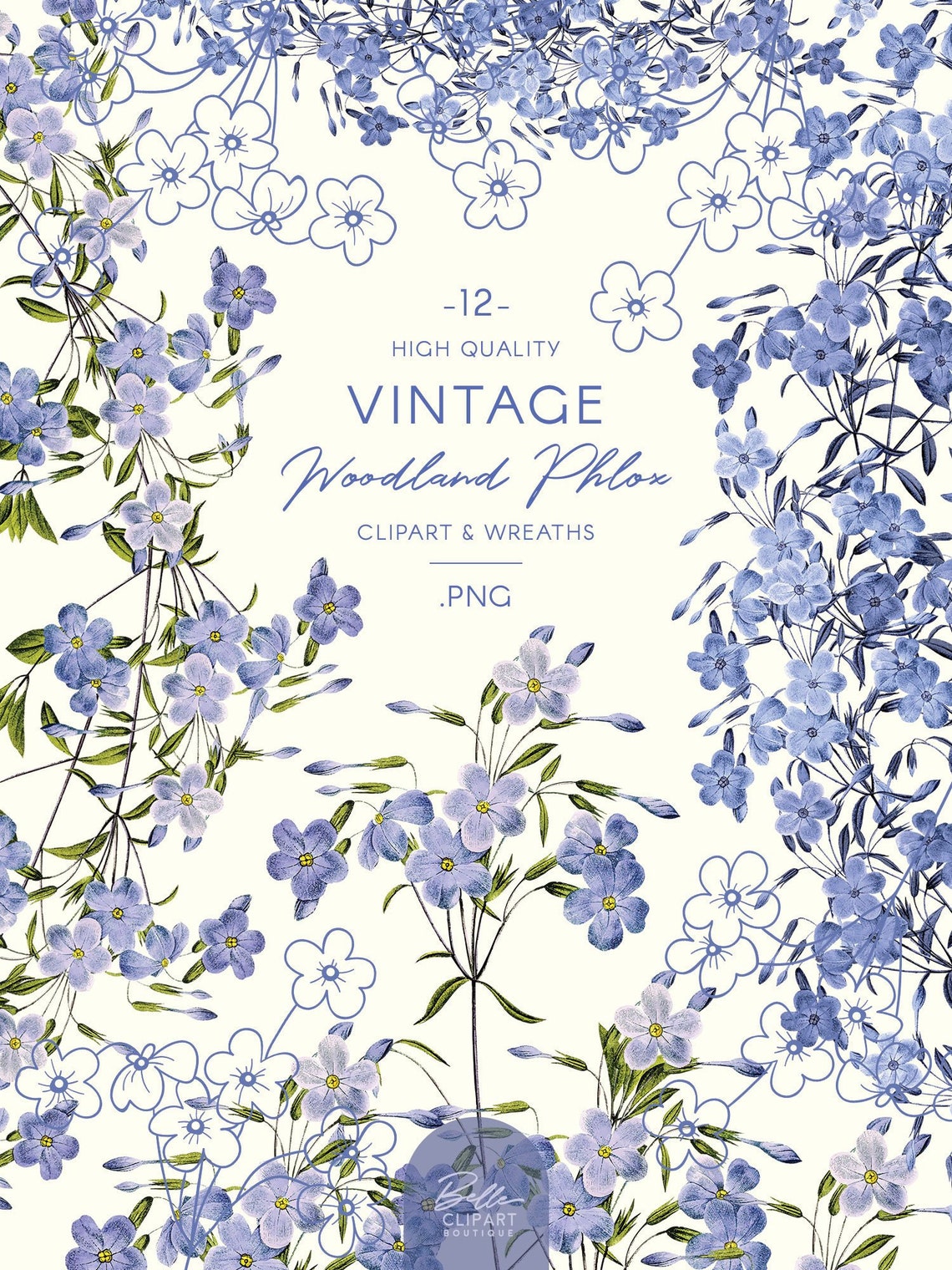 Vintage Blue Flower Clip Art Set, Woodland Phlox Florals and Line Art ...