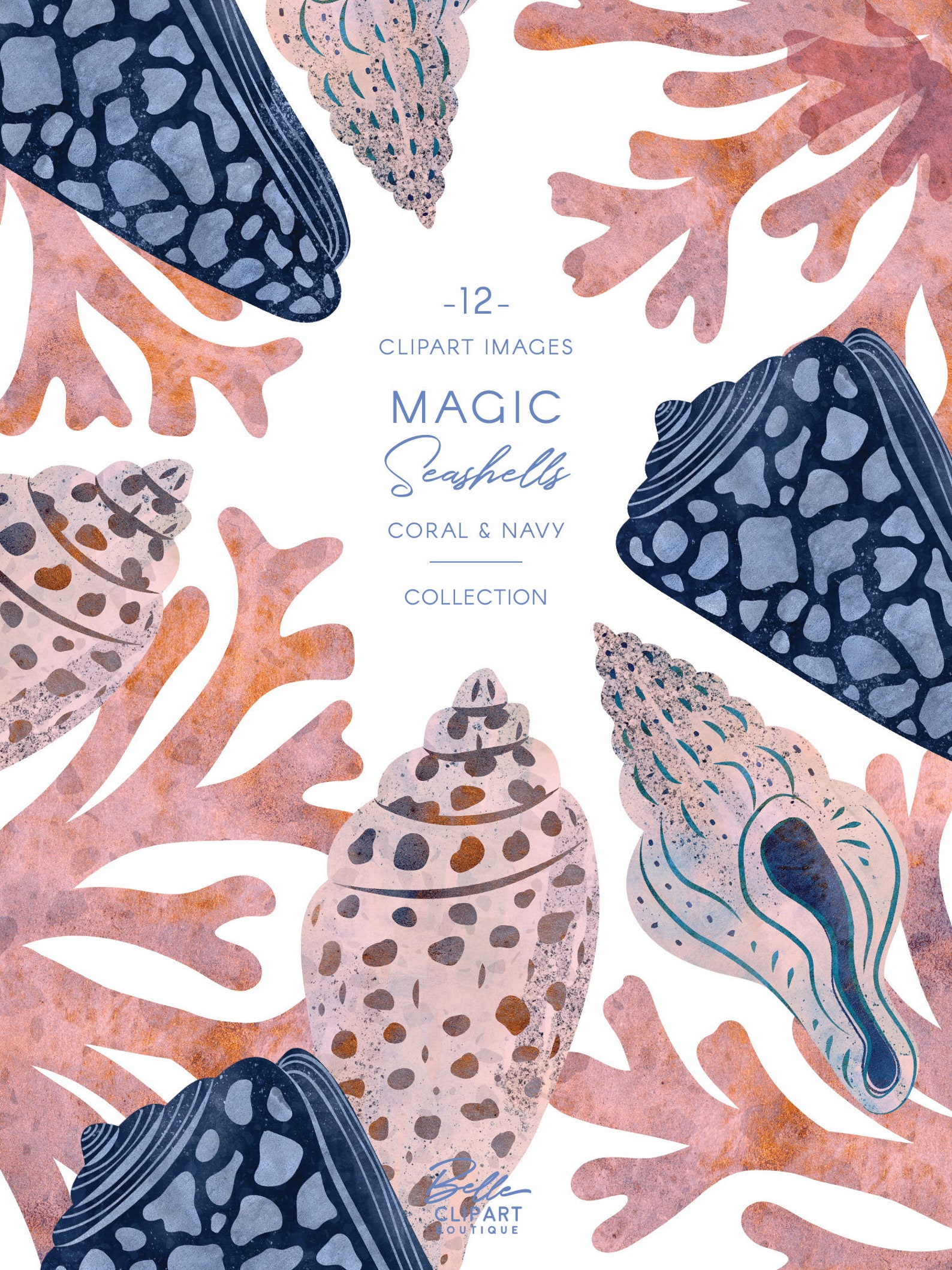 Summer Seashells Clip Art, Coral & Navy Watercolor, Nautical ...