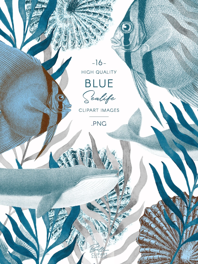 Blue Fish & Sea Life Clip Art Set, Vintage Marine Illustrations ...