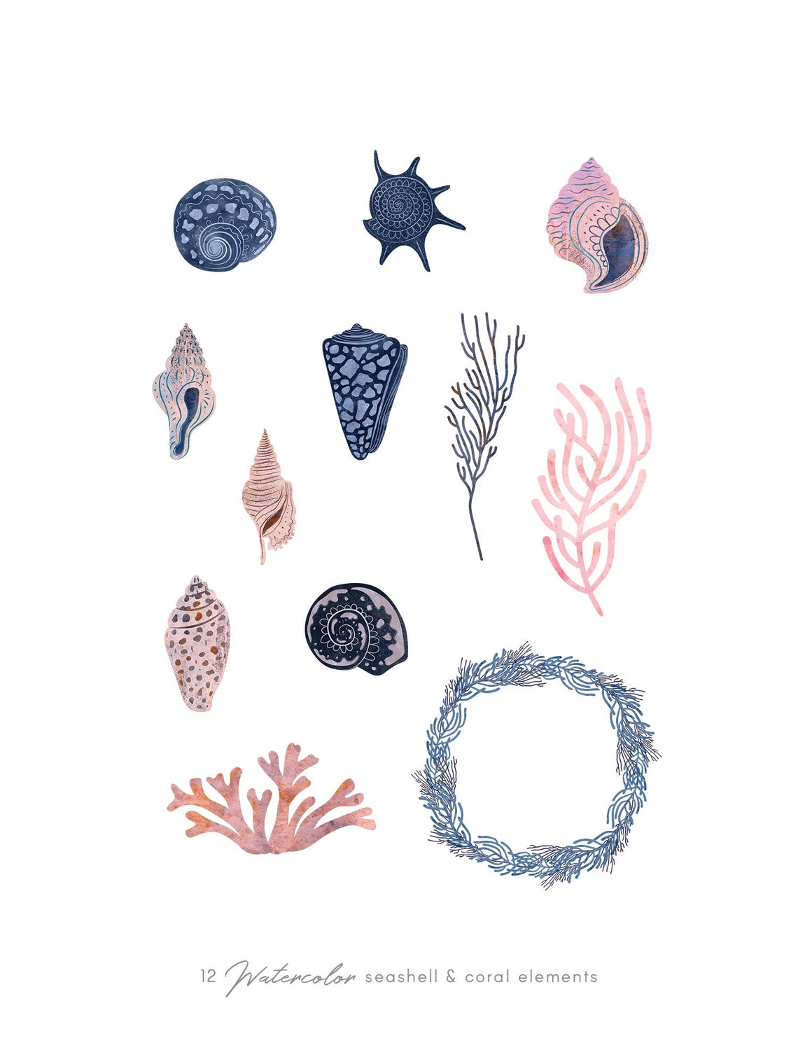 Summer Seashells Clip Art Coral & Navy Watercolor Nautical | Etsy