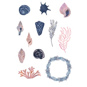 Summer Seashells Clip Art, Coral & Navy Watercolor, Nautical ...