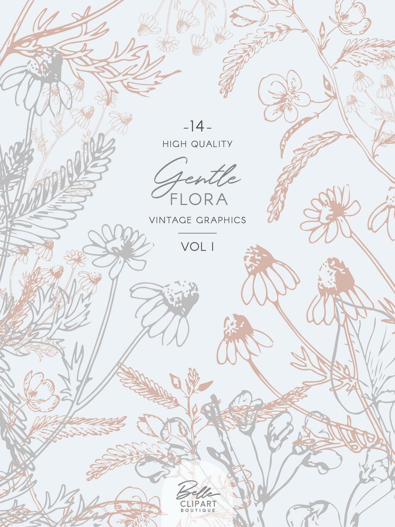 Vintage Floral Botanical Clipart Blush & Grey Line Drawing - Etsy