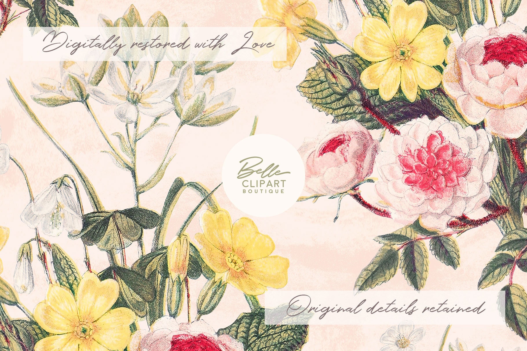 Vintage Floral Clipart Bundle, PNG Flower Bouquets, Frames & Digital ...