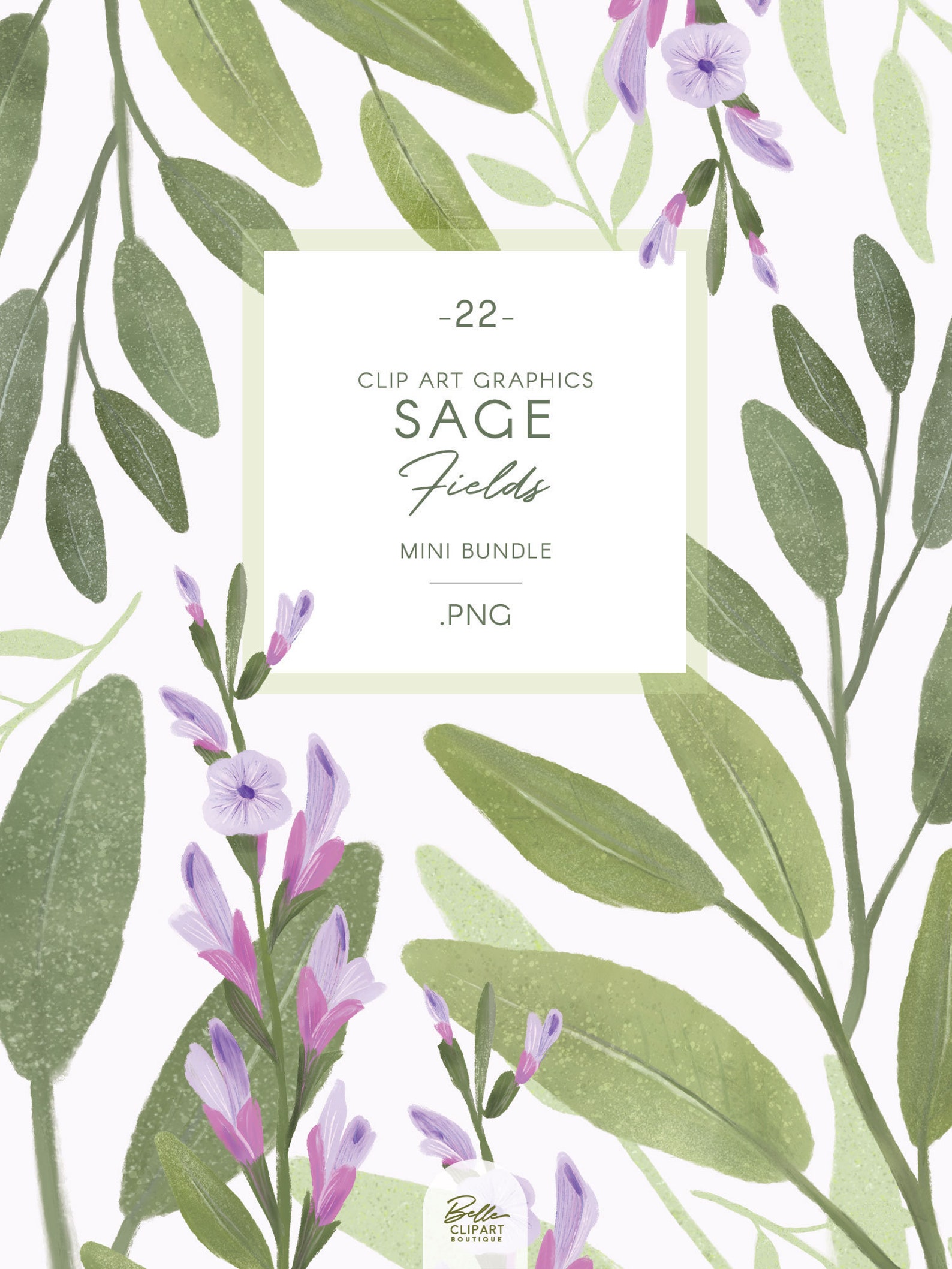 Sage Flowers & Foliage Clip Art PNG Botanical Gouache - Etsy