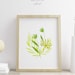 Chartreuse Greenery Clip Art, Neon Green Watercolor Botanical Line Art ...