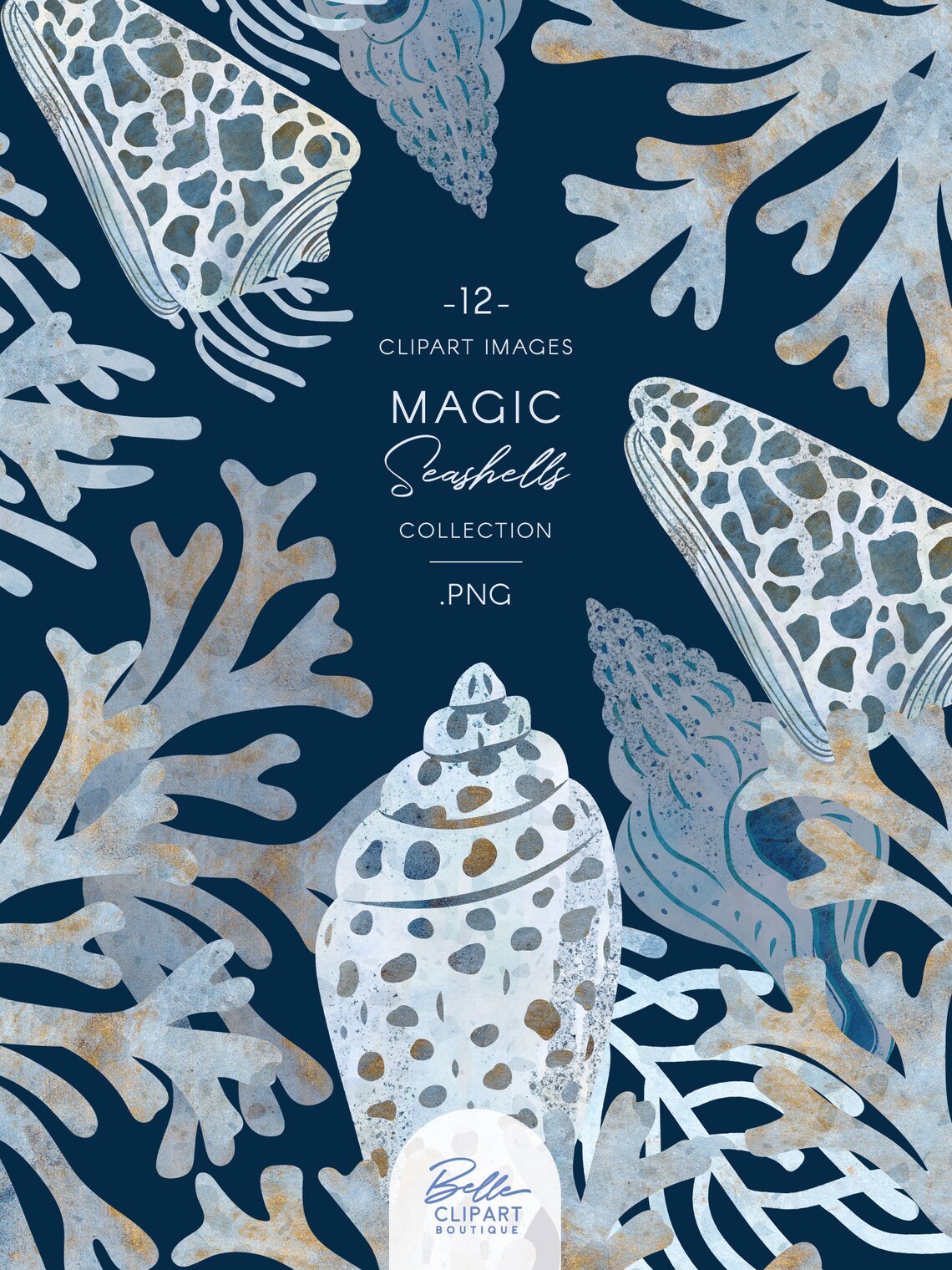 Light Blue Seashells Clip Art Watercolor Ocean Illustrations - Etsy Canada