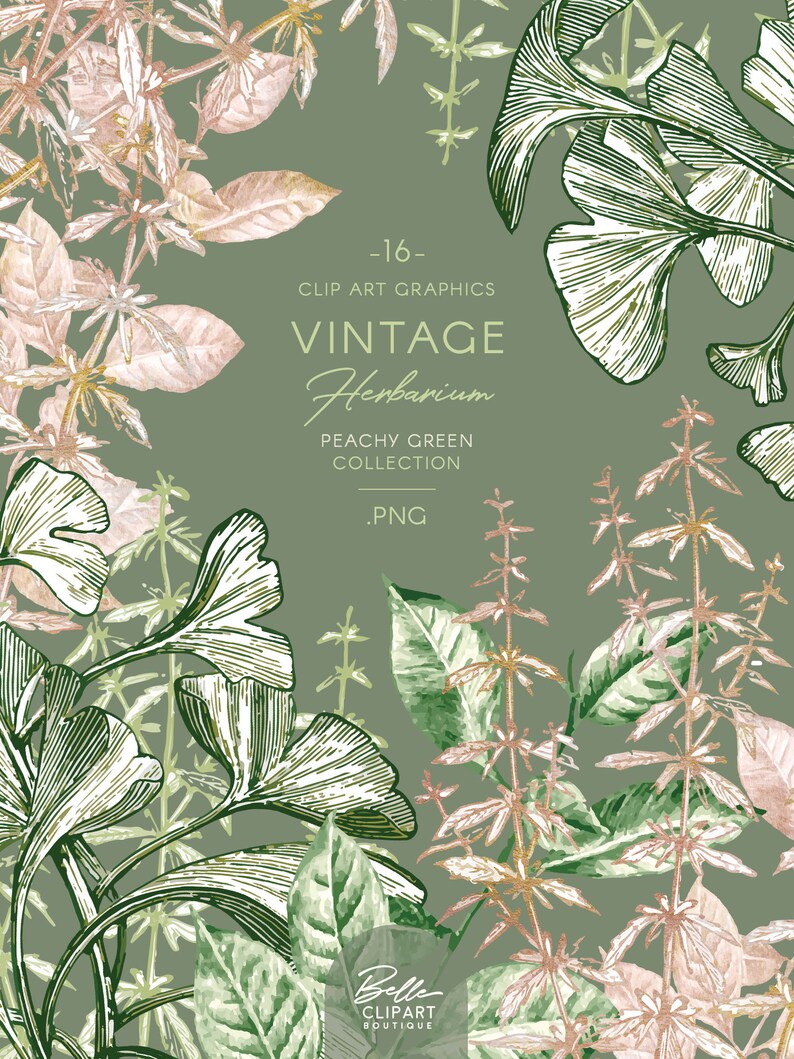 Vintage Botanical Clip Art Peachy Green Floral Graphics - Etsy