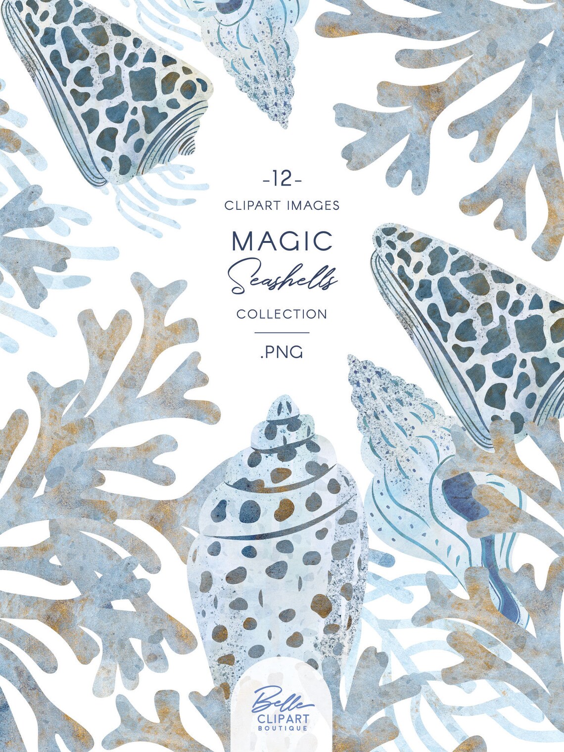 Light Blue Seashells Clip Art Watercolor Ocean Illustrations - Etsy Canada