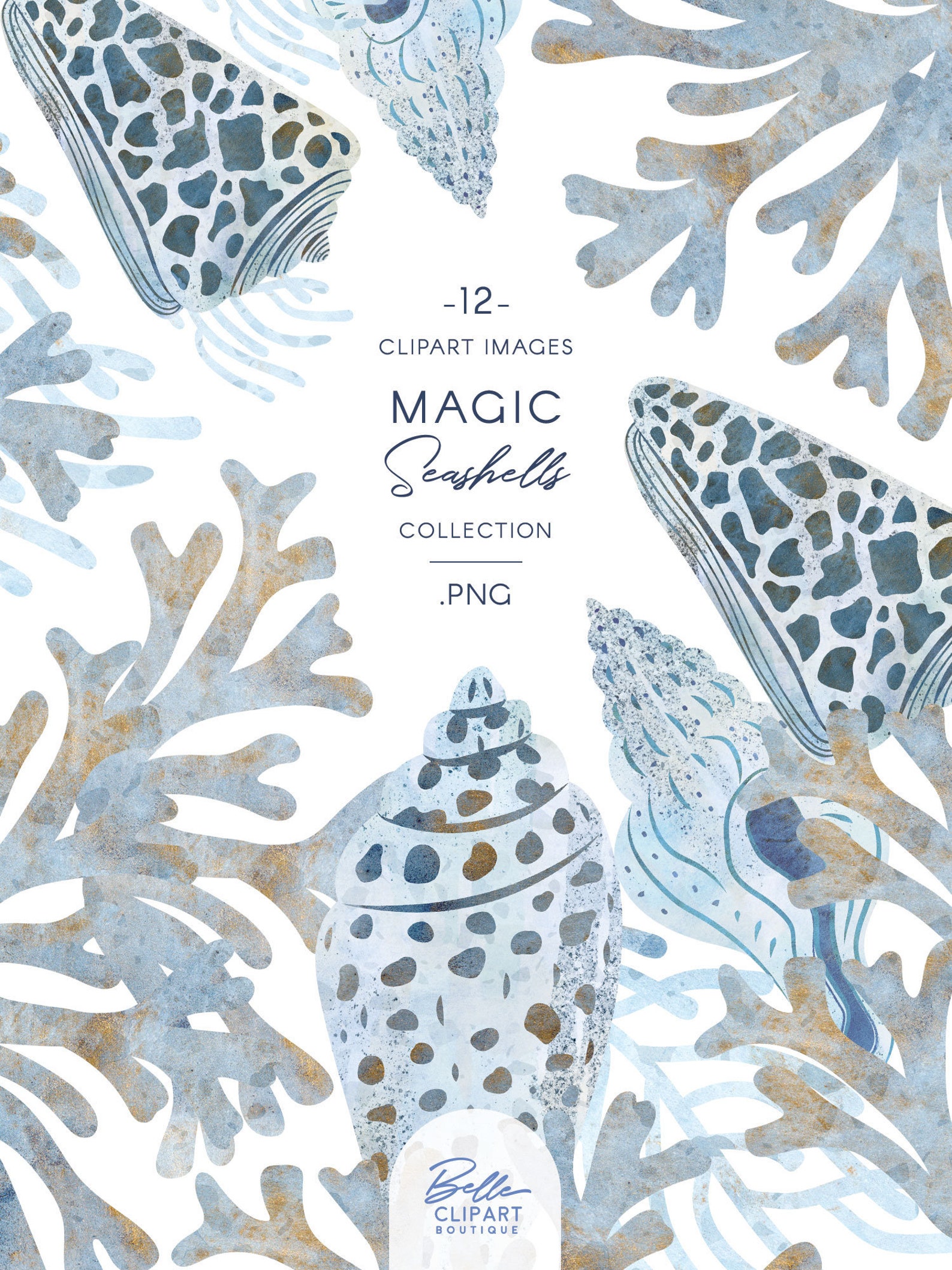 Light Blue Seashells Clip Art, Watercolor Ocean Illustrations, Painted ...