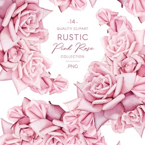 Rustic Roses Clipart, Pink Wedding Flowers, Vintage Illustration - Etsy