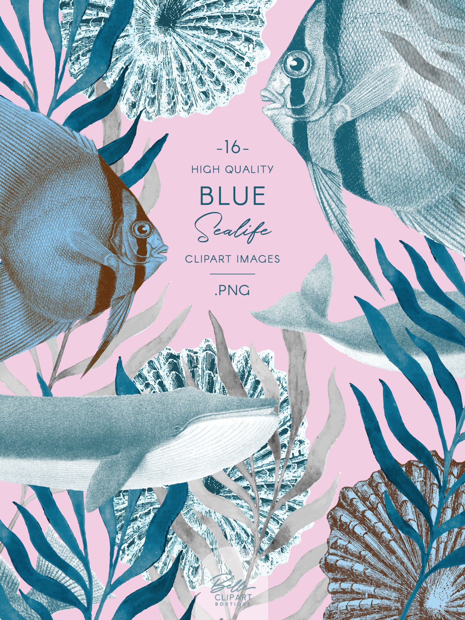 Blue Fish & Sea Life Clip Art Set Vintage Marine - Etsy