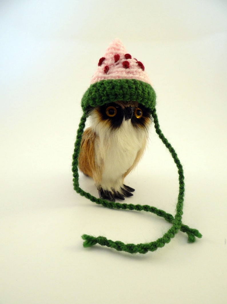 Tiny Reptile Hat Hat for Hamster Small Lizard Hat - Etsy