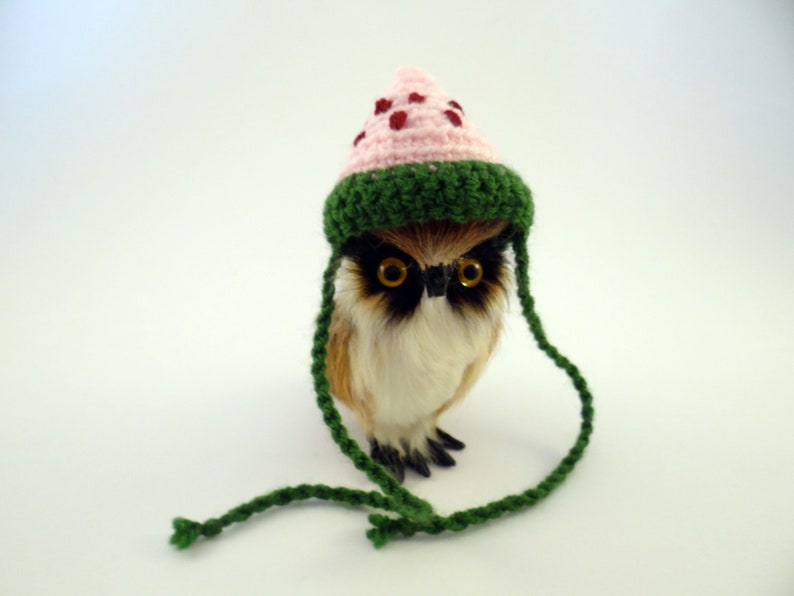 Tiny Reptile Hat Hat for Hamster Small Lizard Hat - Etsy