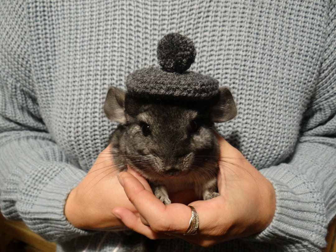 Tiny Reptile Beret, Hat for Hamster, Small Lizard Hat, Clothes for ...
