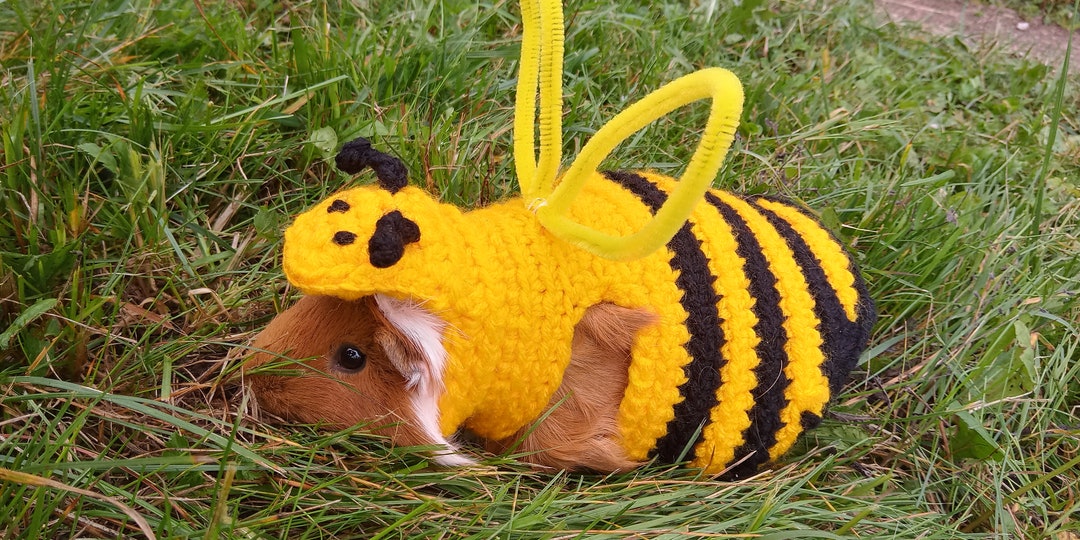 Guinea Pig Costume, Geco Bee Costume, Guinea Pig Clothes, Bee Costume ...