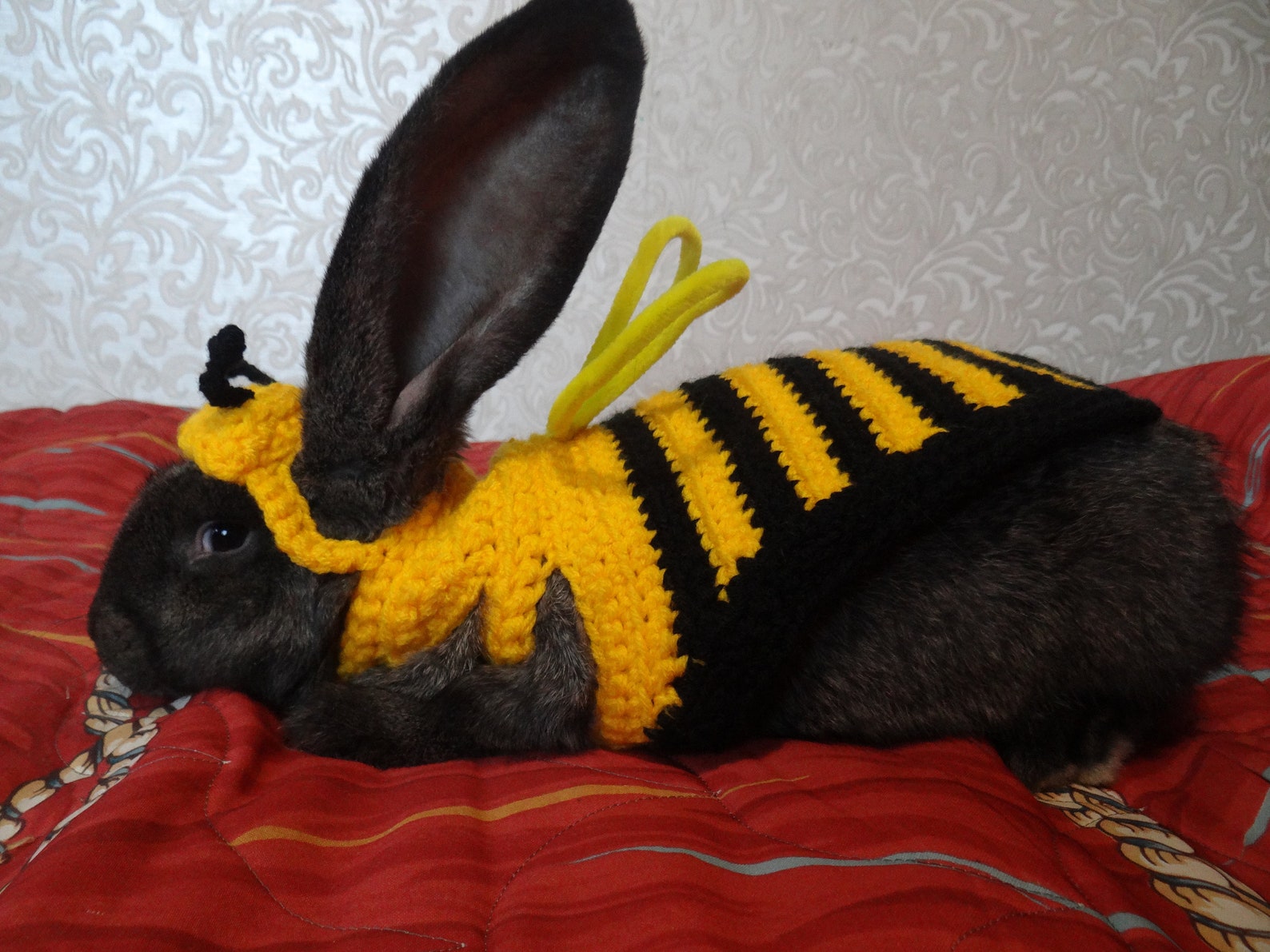 Pet Rabbit Costume Bee Costume for Guinea Pig Clothes for | Etsy