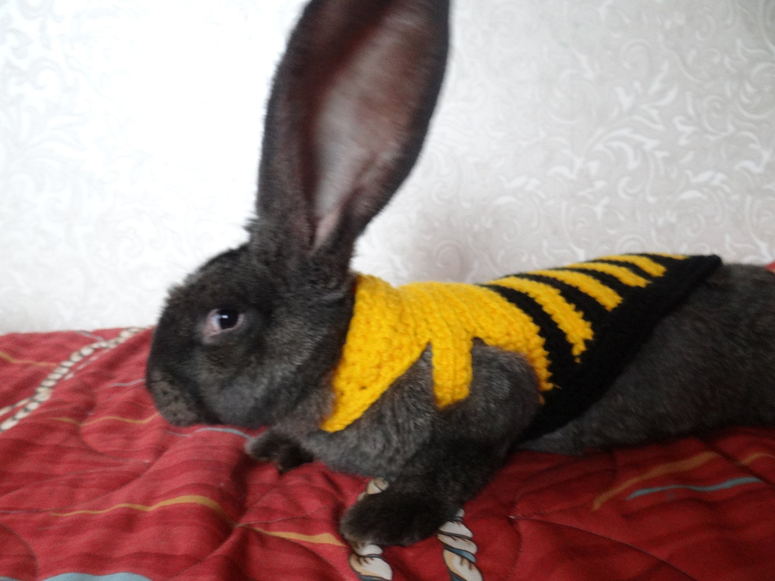 Pet Rabbit Costume Bee Costume for Guinea Pig Clothes for | Etsy