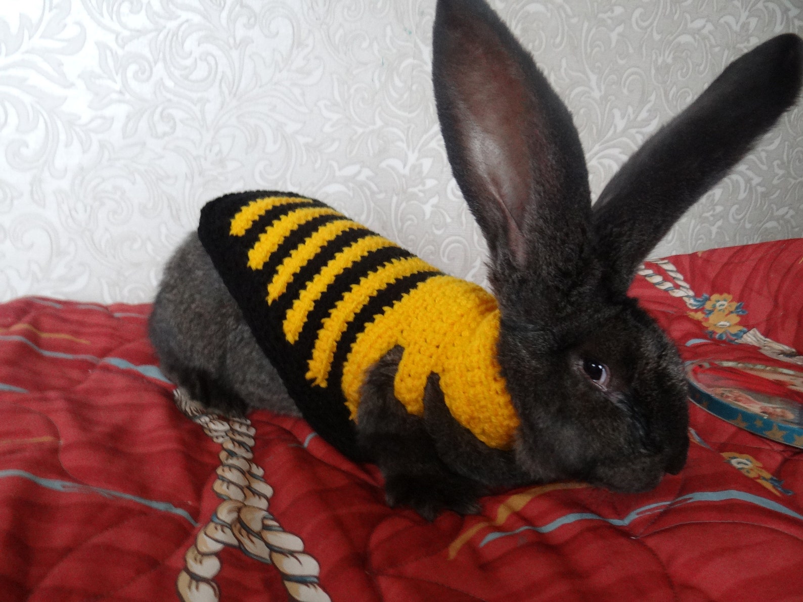 Pet Rabbit Costume Bee Costume for Guinea Pig Clothes for | Etsy