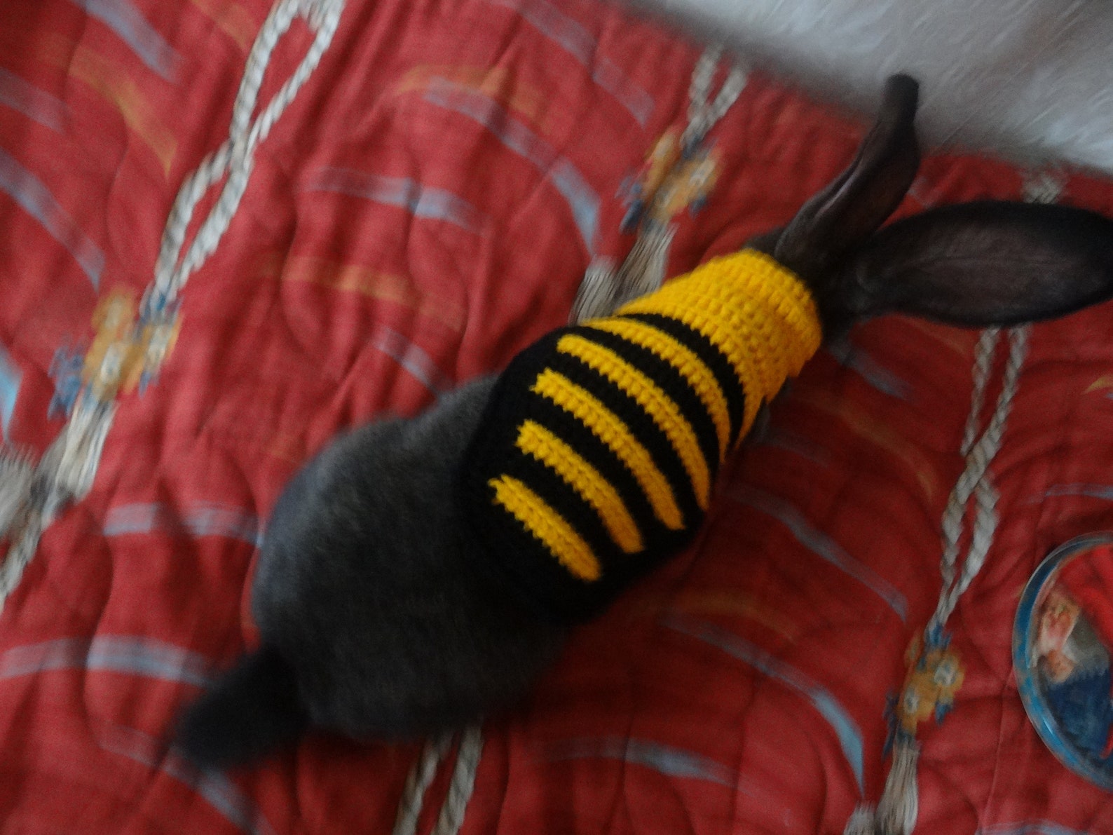 Pet Rabbit Costume Bee Costume for Guinea Pig Clothes for | Etsy