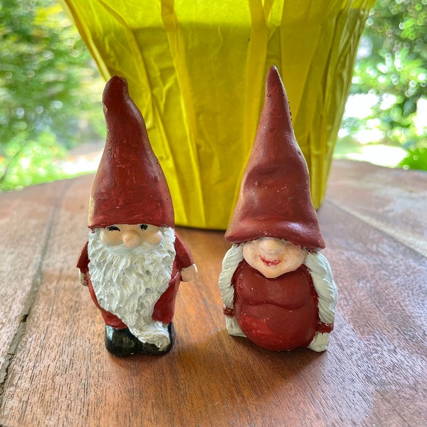Gnome Couple - Etsy