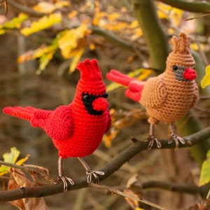 Cardinal Crochet Pattern - Bird Amigurumi Pattern - Etsy
