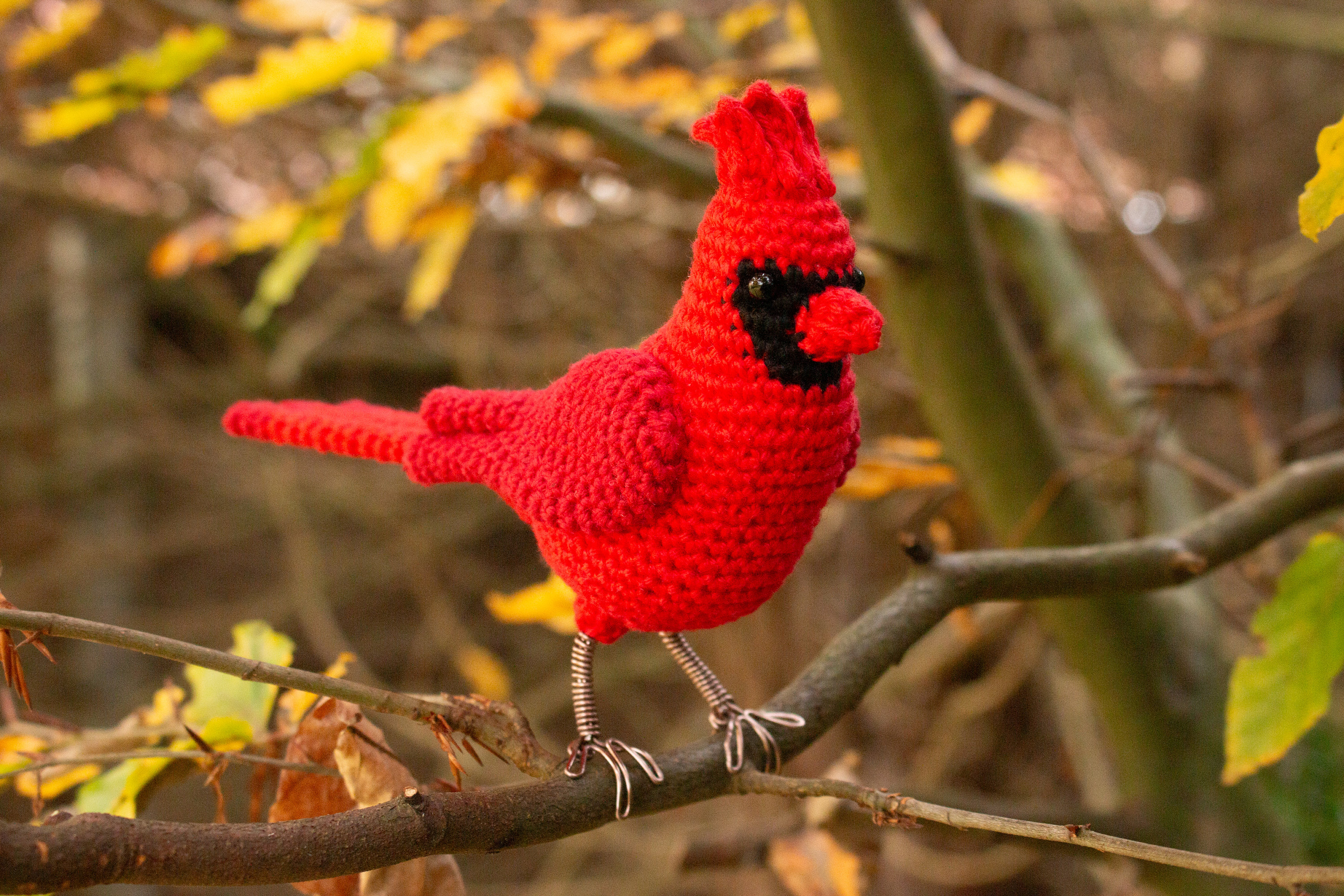 25 Cardinal Crochet Patterns: Unlock Your Creativity Today!