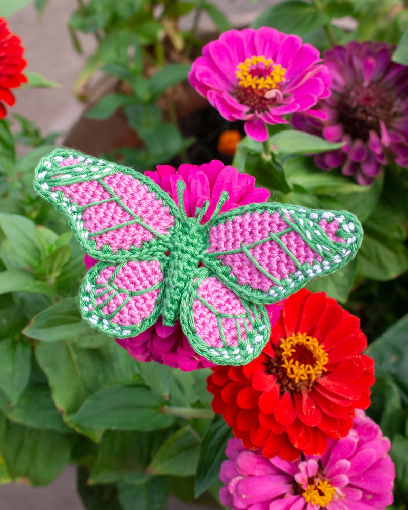 Butterfly Amigurumi Crochet Pattern Monarch Butterfly - Etsy UK