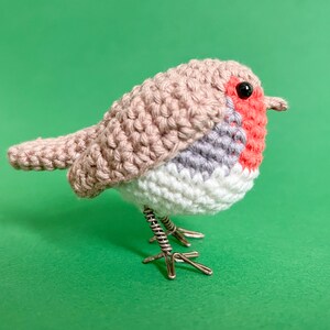 Robin Crochet Pattern - Bird Amigurumi Pattern - Etsy
