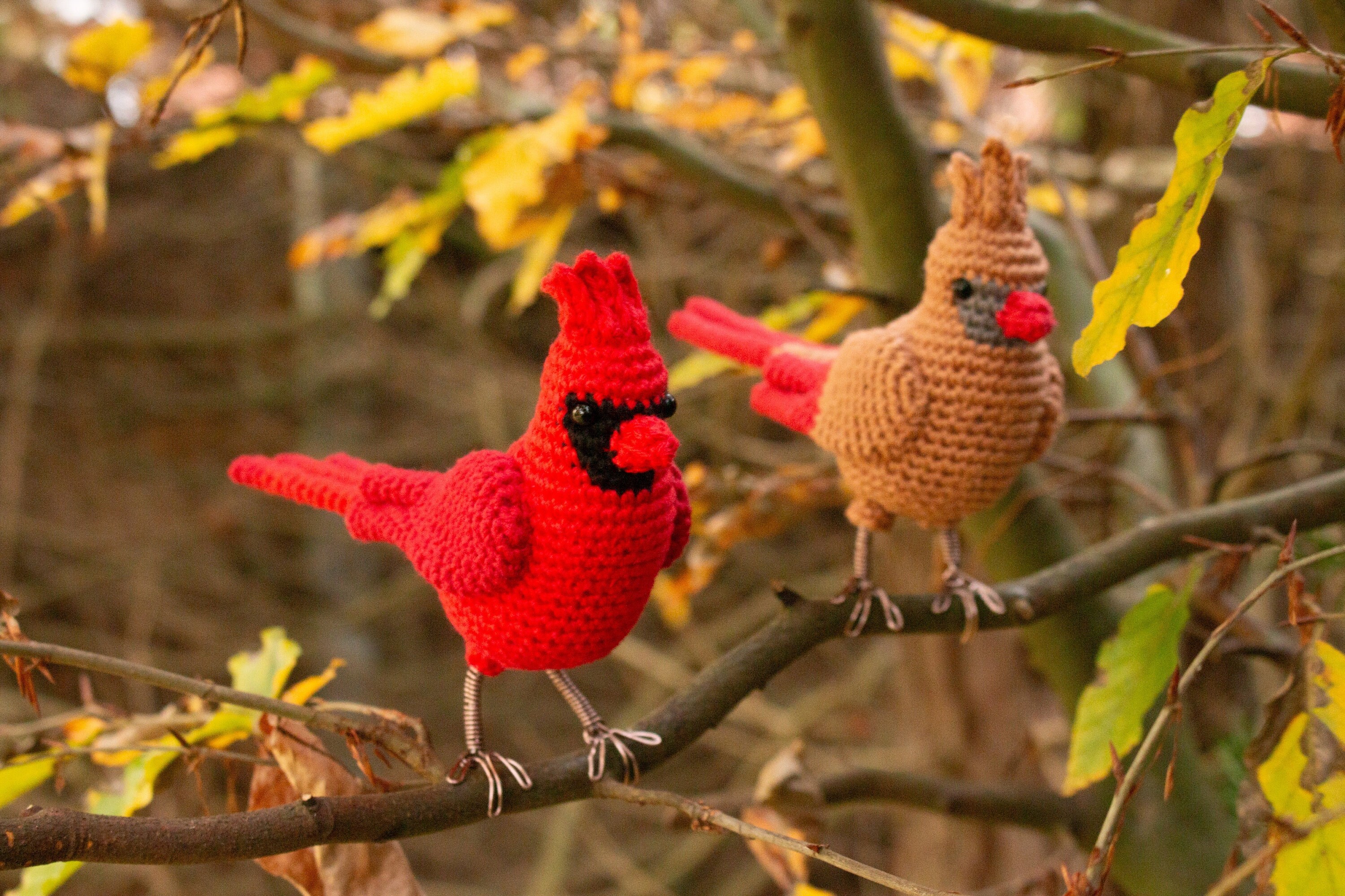 Cardinal Crochet Pattern - Bird Amigurumi Pattern - Etsy