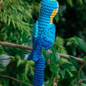 Macaw Amigurumi Pattern - Parrot Crochet Pattern - Etsy