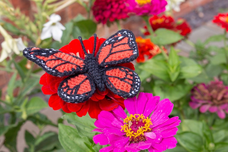 Butterfly Amigurumi Crochet Pattern Monarch Butterfly - Etsy