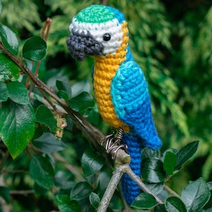 Macaw Amigurumi Pattern - Parrot Crochet Pattern - Etsy