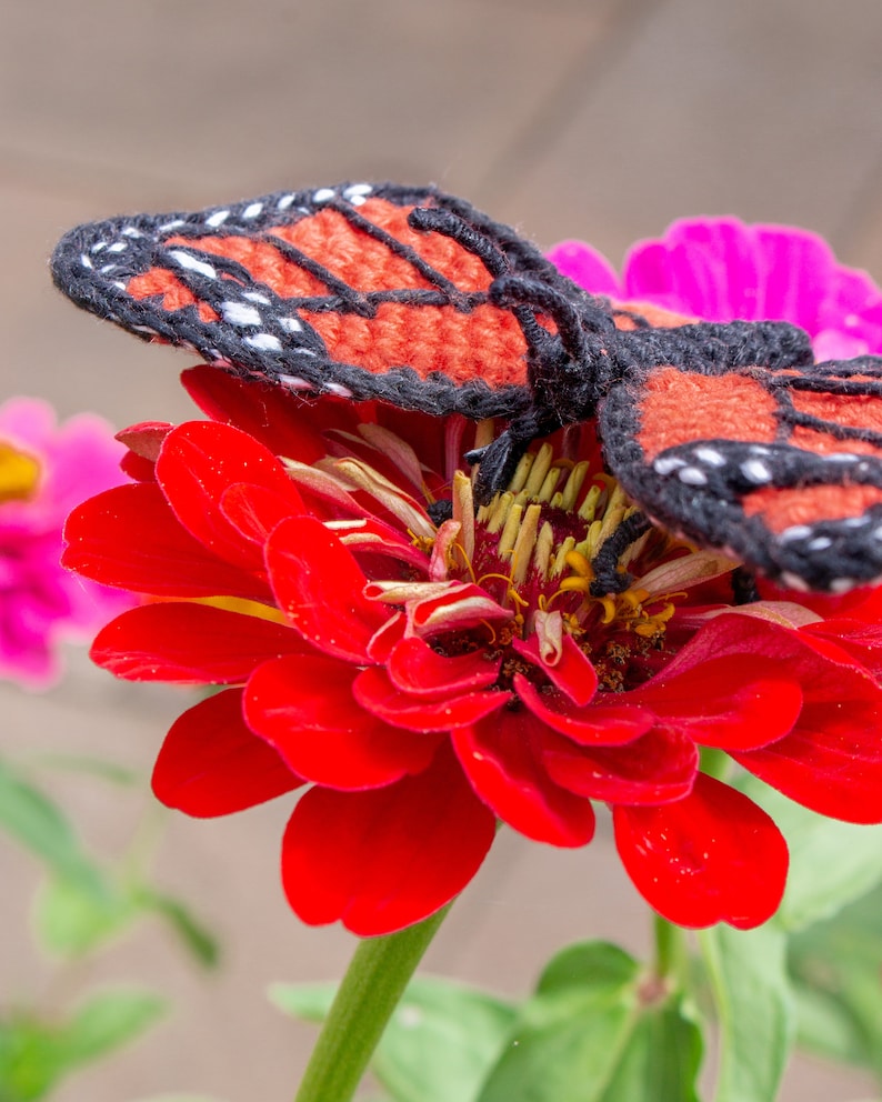 Butterfly Amigurumi Crochet Pattern Monarch Butterfly - Etsy