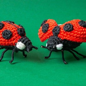 Ladybug Crochet Pattern - Ladybird Amigurumi Pattern - Etsy