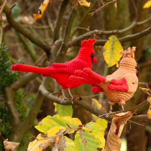 Cardinal Crochet Pattern - Bird Amigurumi Pattern - Etsy