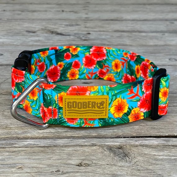 The Little Kahuna Blue Personalized Dog Collar Water - Etsy