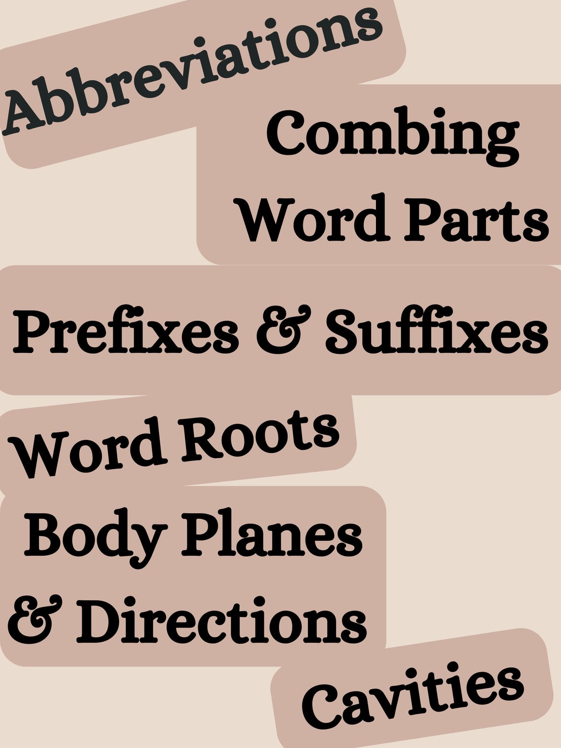 Anatomy and Physiology Medical Terminology Bundle Notes - Etsy