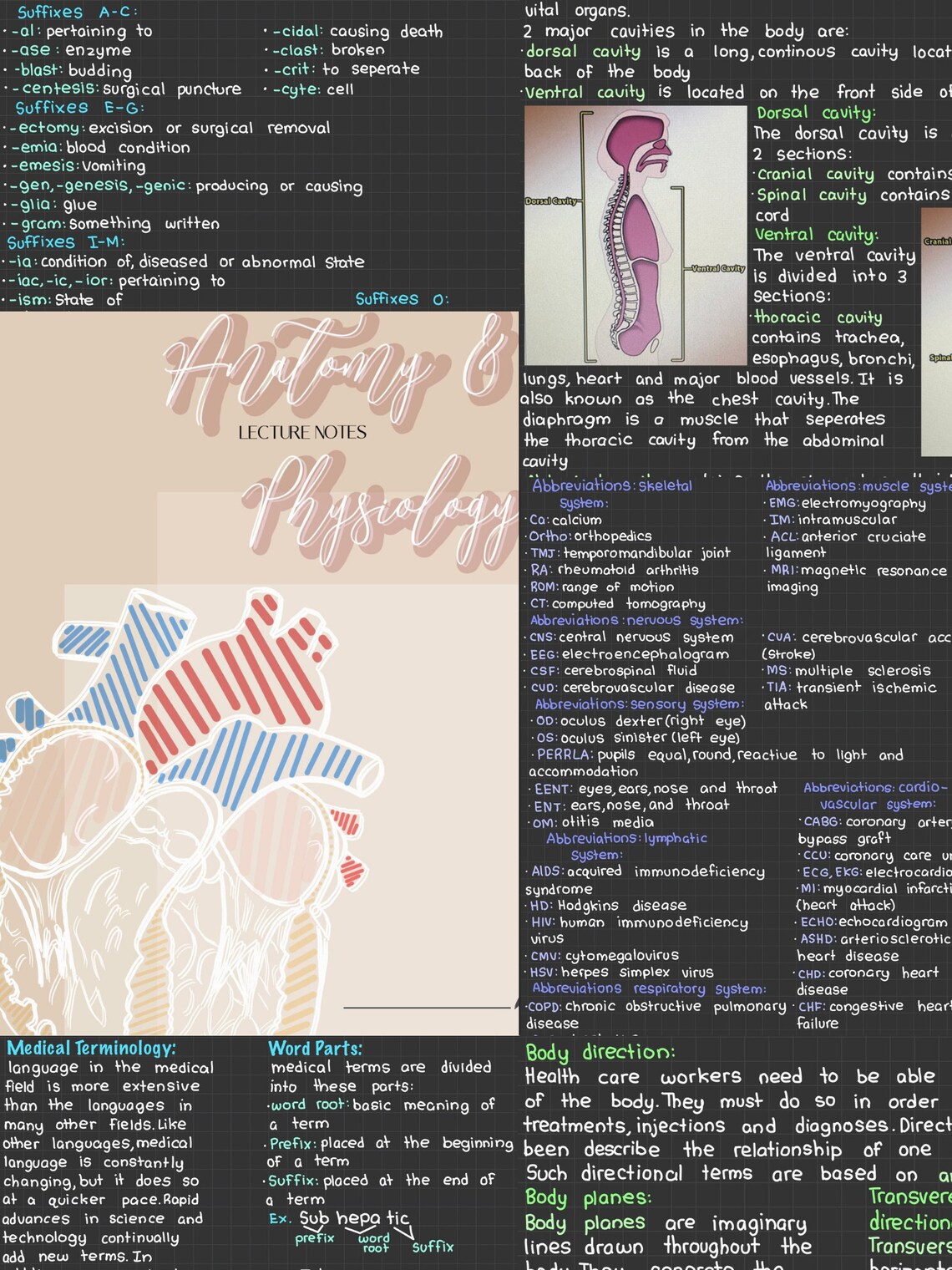 Anatomy and Physiology Medical Terminology Bundle Notes - Etsy