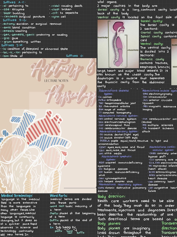 Vomiting Anatomy And Physiology