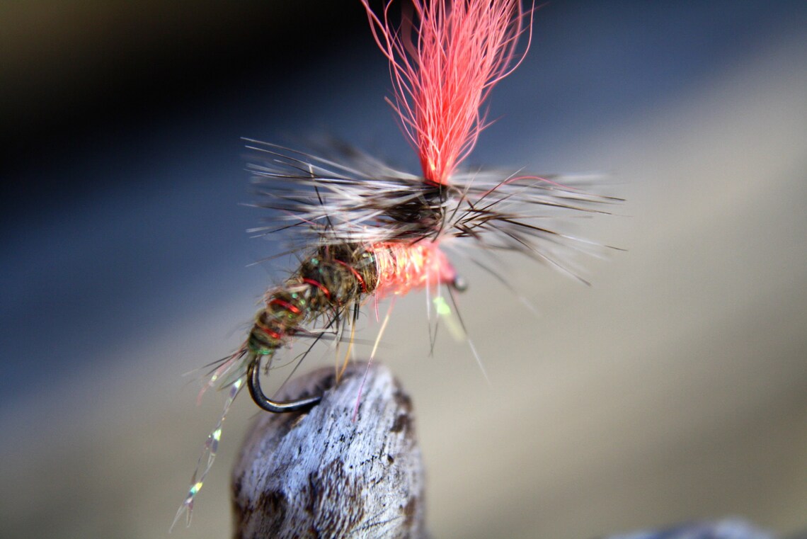 Pink Squirrel Emerger Best Emerger Fly Patterns Trout | Etsy