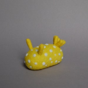 Phyllidia Flava Species of Sea Slug Dorid Nudibranch Sea Slug Wool ...