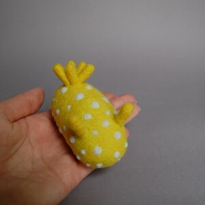 Phyllidia Flava Species of Sea Slug Dorid Nudibranch Sea Slug Wool ...